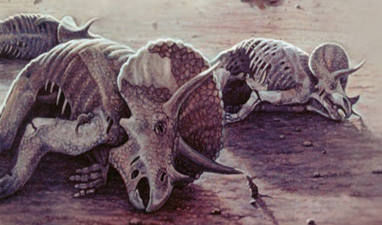 The Asteroid That Killed the Dinosaurs Caused Catastrophic Climate Change | Paleontology World